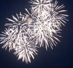 8'' Thousands of Brocade Crown - Rainbow Fireworks